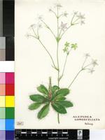 Illustrations of Southern Africa flora, Global Plants on JSTOR